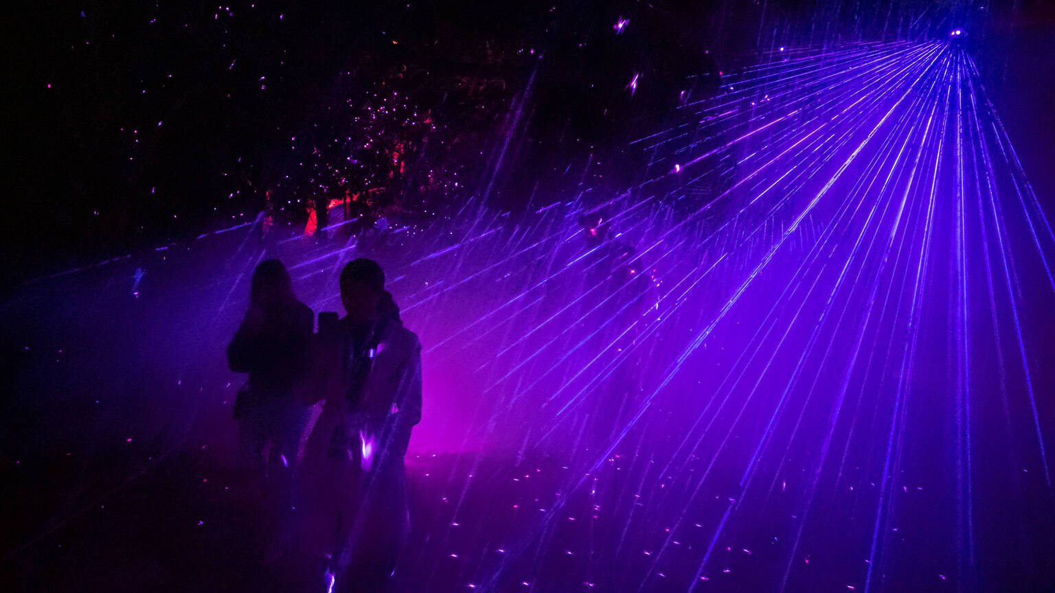 Astra Lumina is bringing a stellar night walk to South Coast Botanic Garden