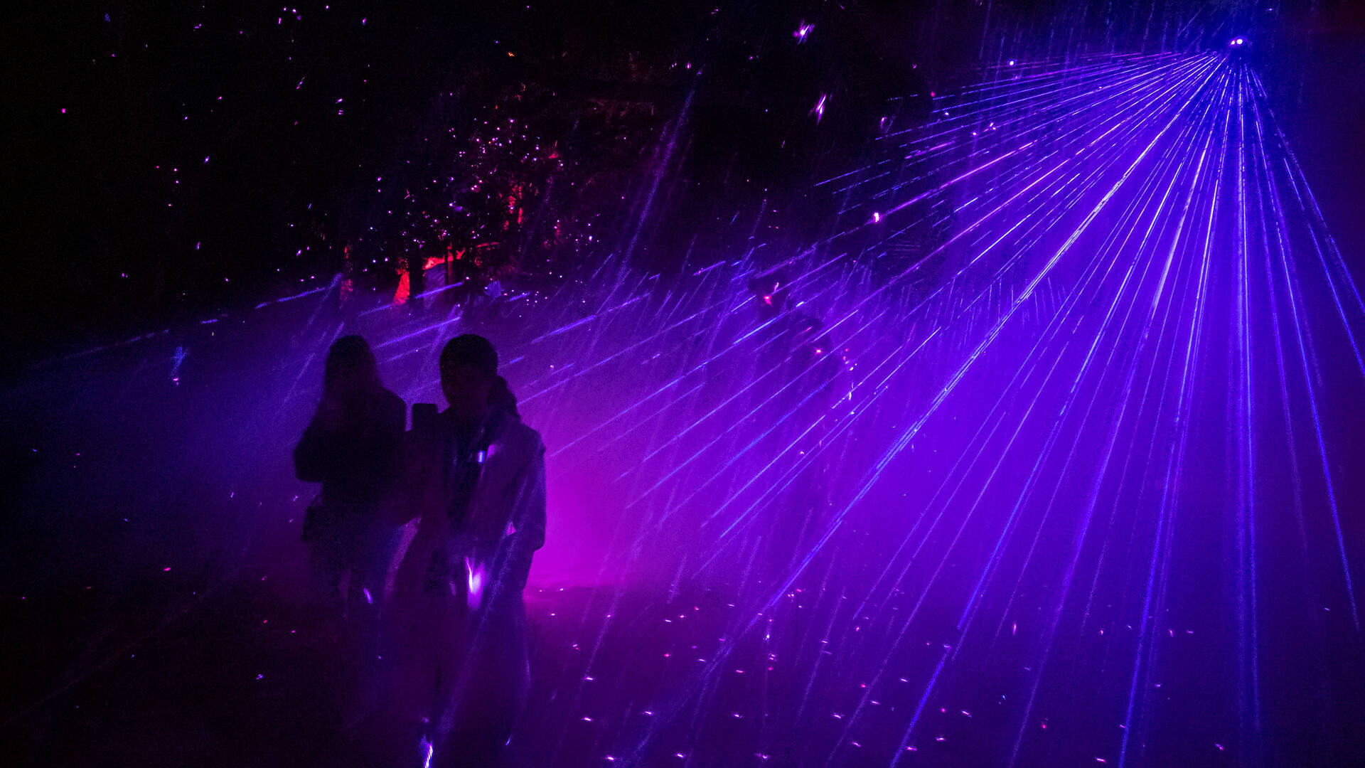 Astra Lumina is bringing a stellar night walk to South Coast Botanic Garden