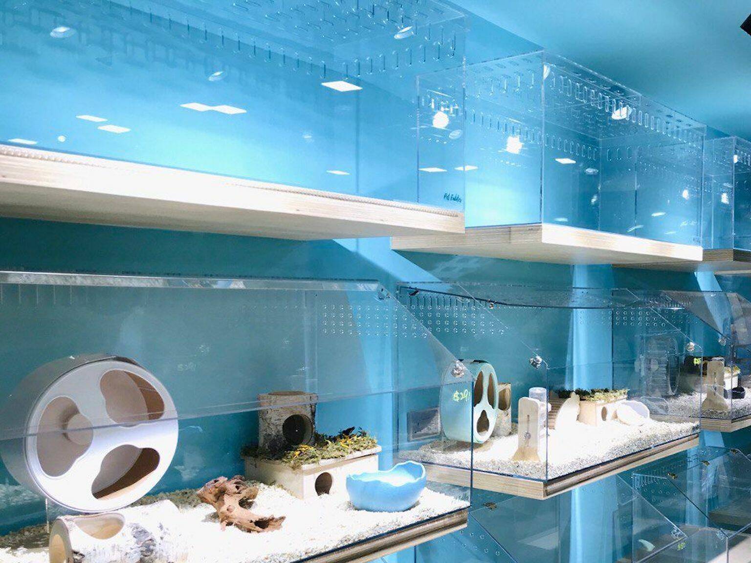 The Best Pet Shops in Singapore