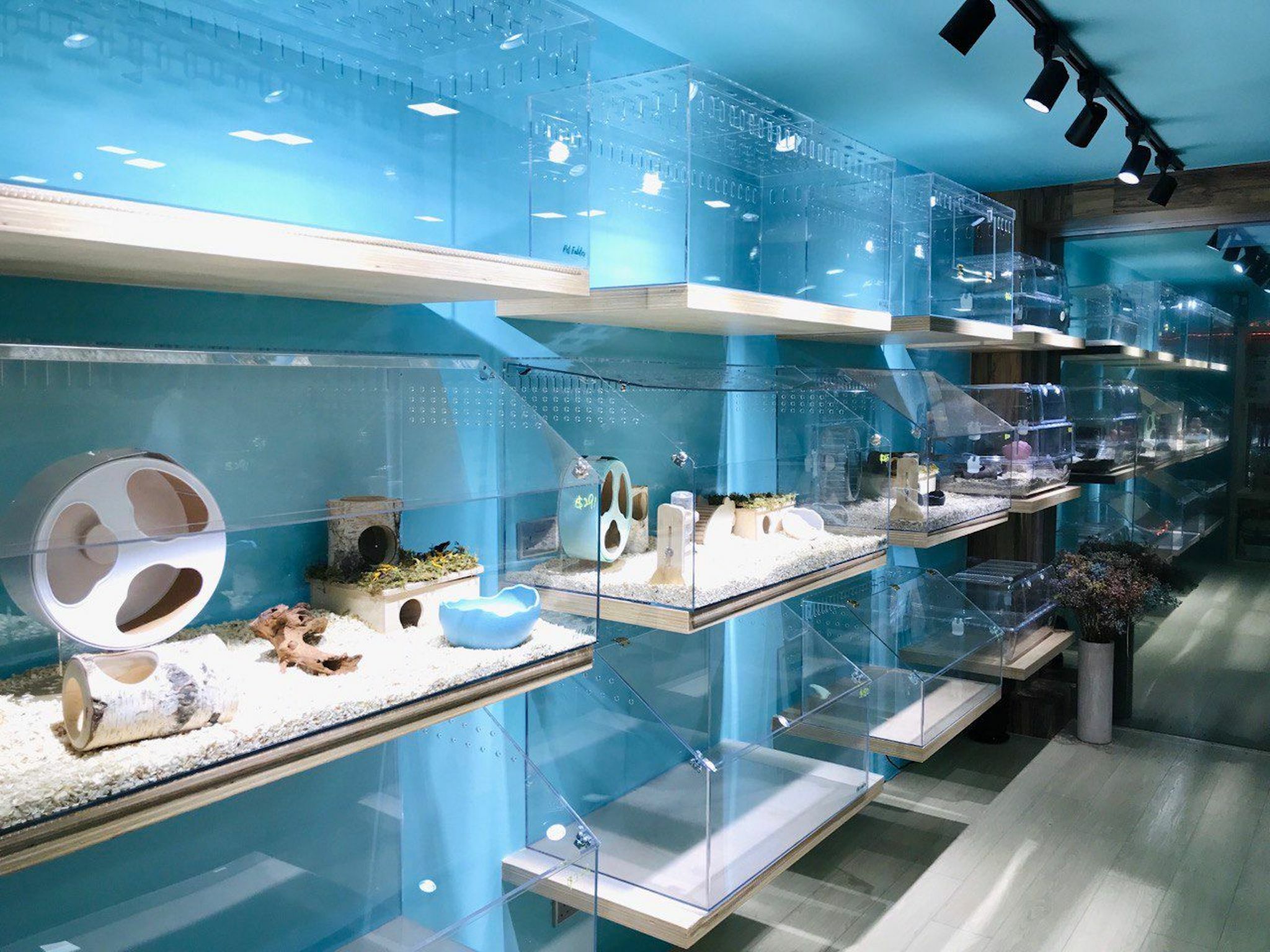 Pet Fables | Shopping in Bukit Timah, Singapore