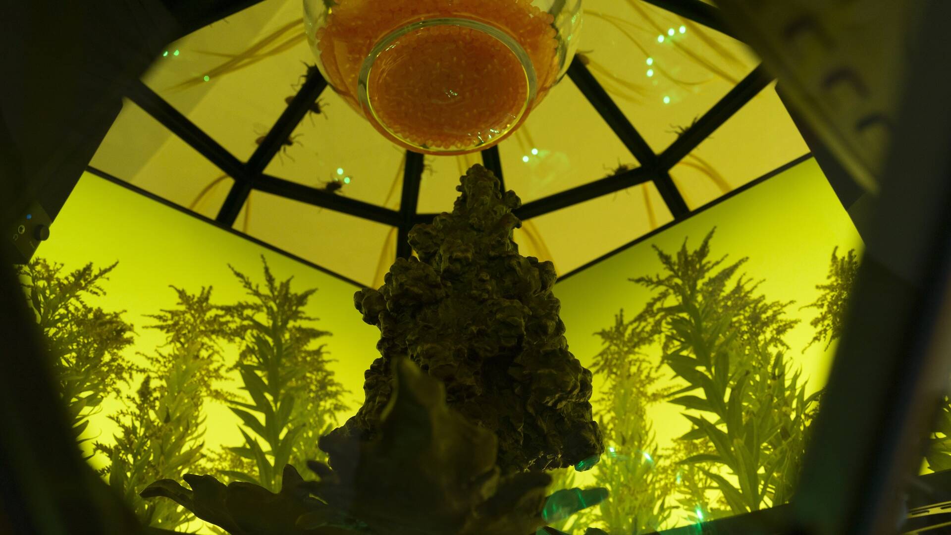 Sit, Down. Sit Down Please, Sphinx. | Art in Tokyo