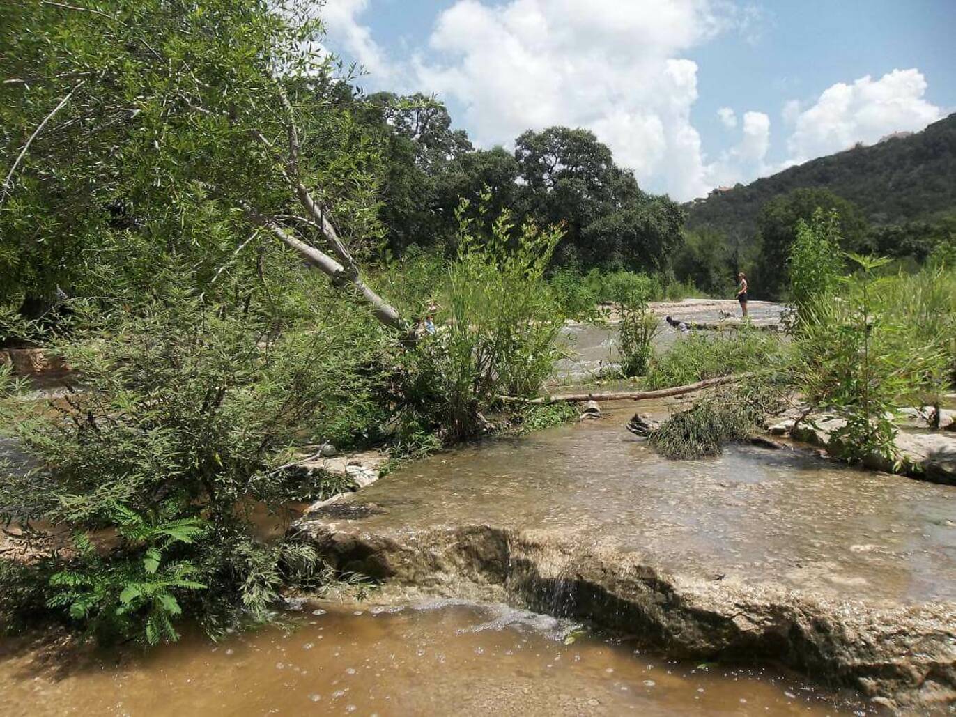 The 10 Best Parks and Gardens in Austin, Texas