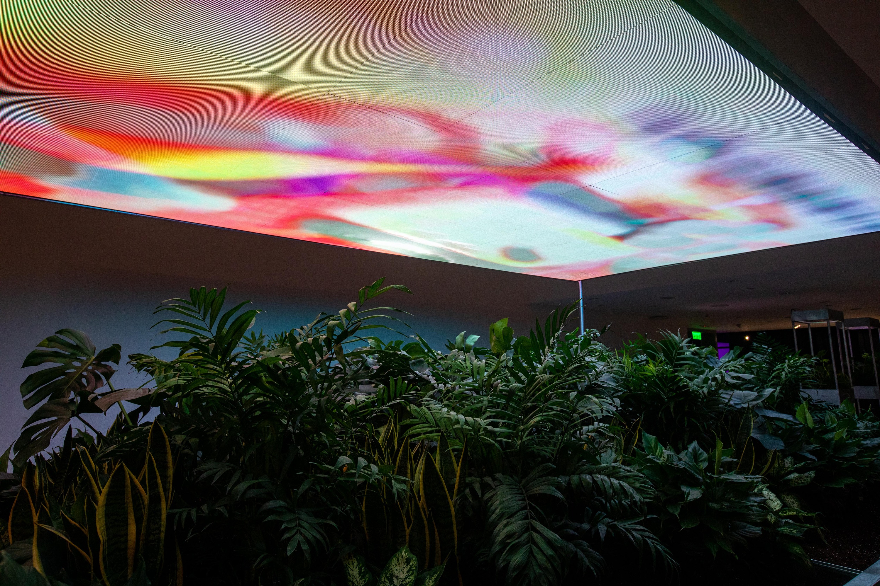 Hylozoism: An Arts & Technology Exhibition | Things to do in Hong Kong