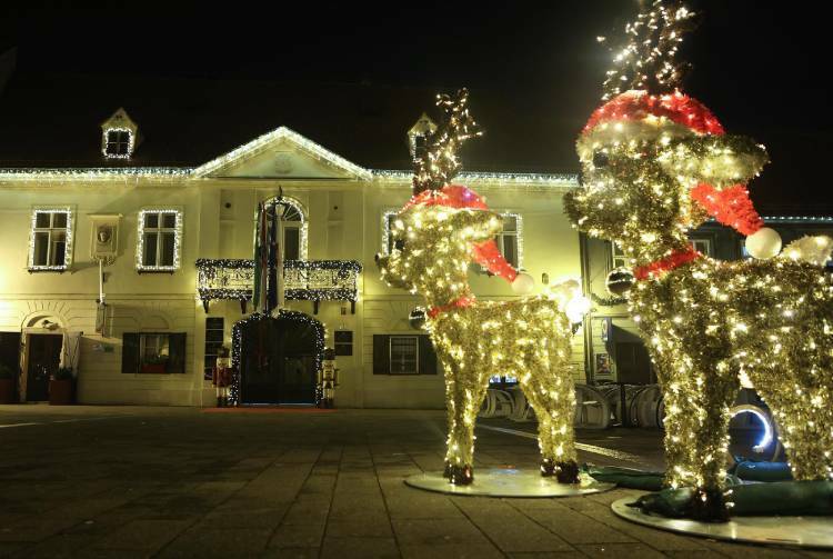 Discover the wonders of Samobor in winter