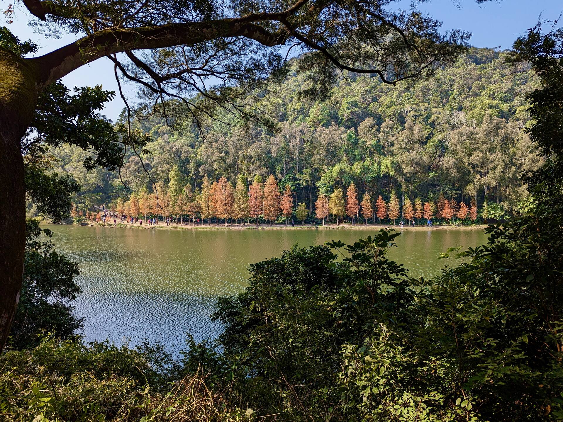 Things to do in Hong Kong — Events, attractions and activities