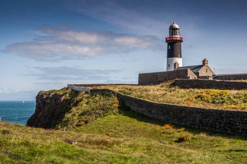 Bizarre Job Alert: This Remote Scottish Island is Looking for a Ferret ...