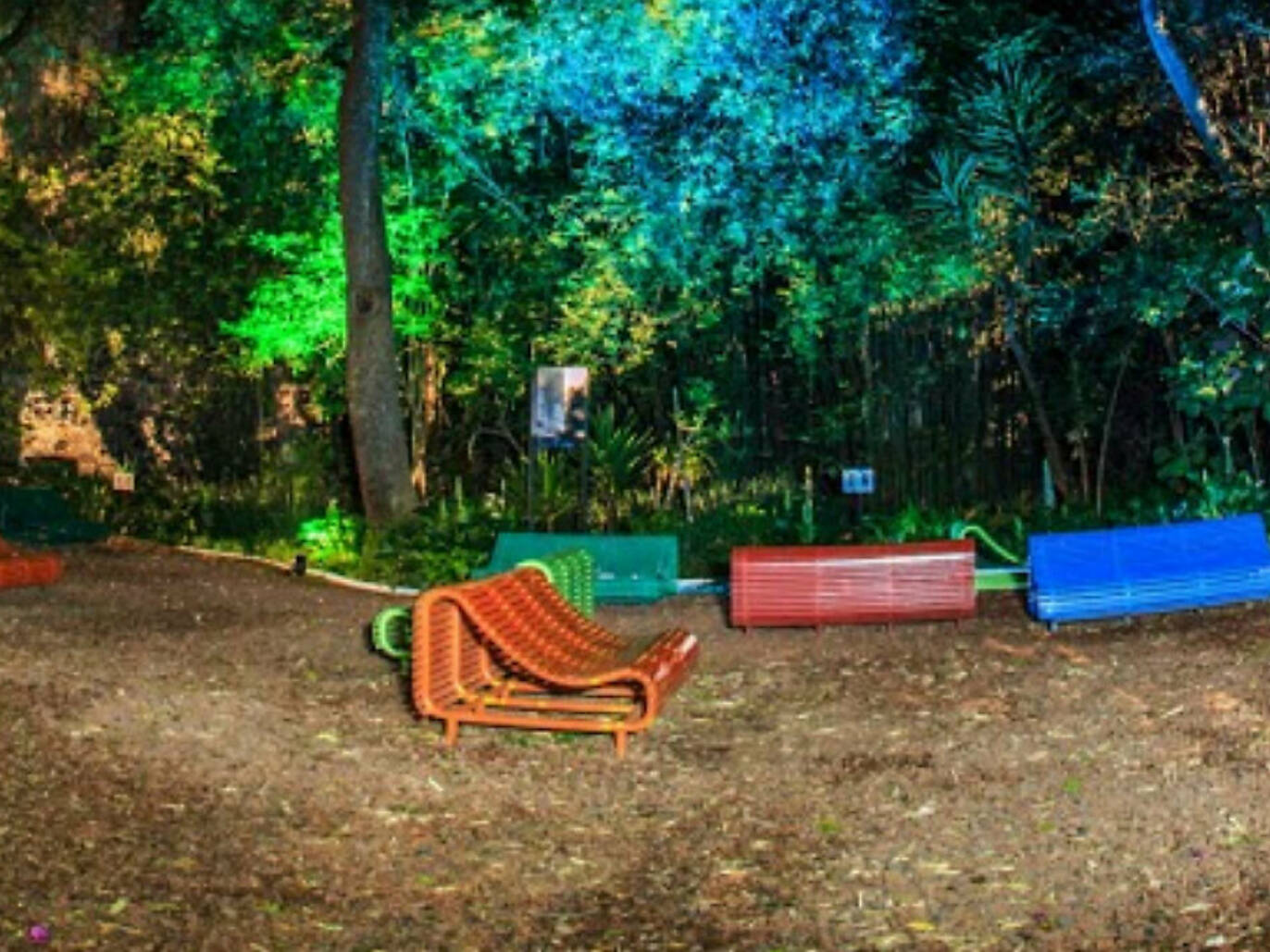 Lugares y actividades gratis en el Bosque de Chapultepec