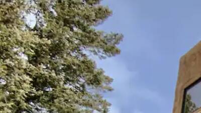 12 Awesome Off-Grid Airbnb Properties Across the U.S.