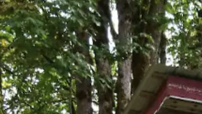 12 Awesome Off-Grid Airbnb Properties Across the U.S.