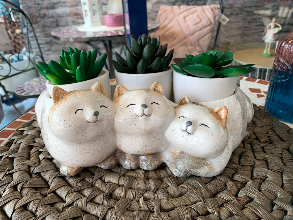 G'Day Kitty on High Street is hawking cat-themed goodies