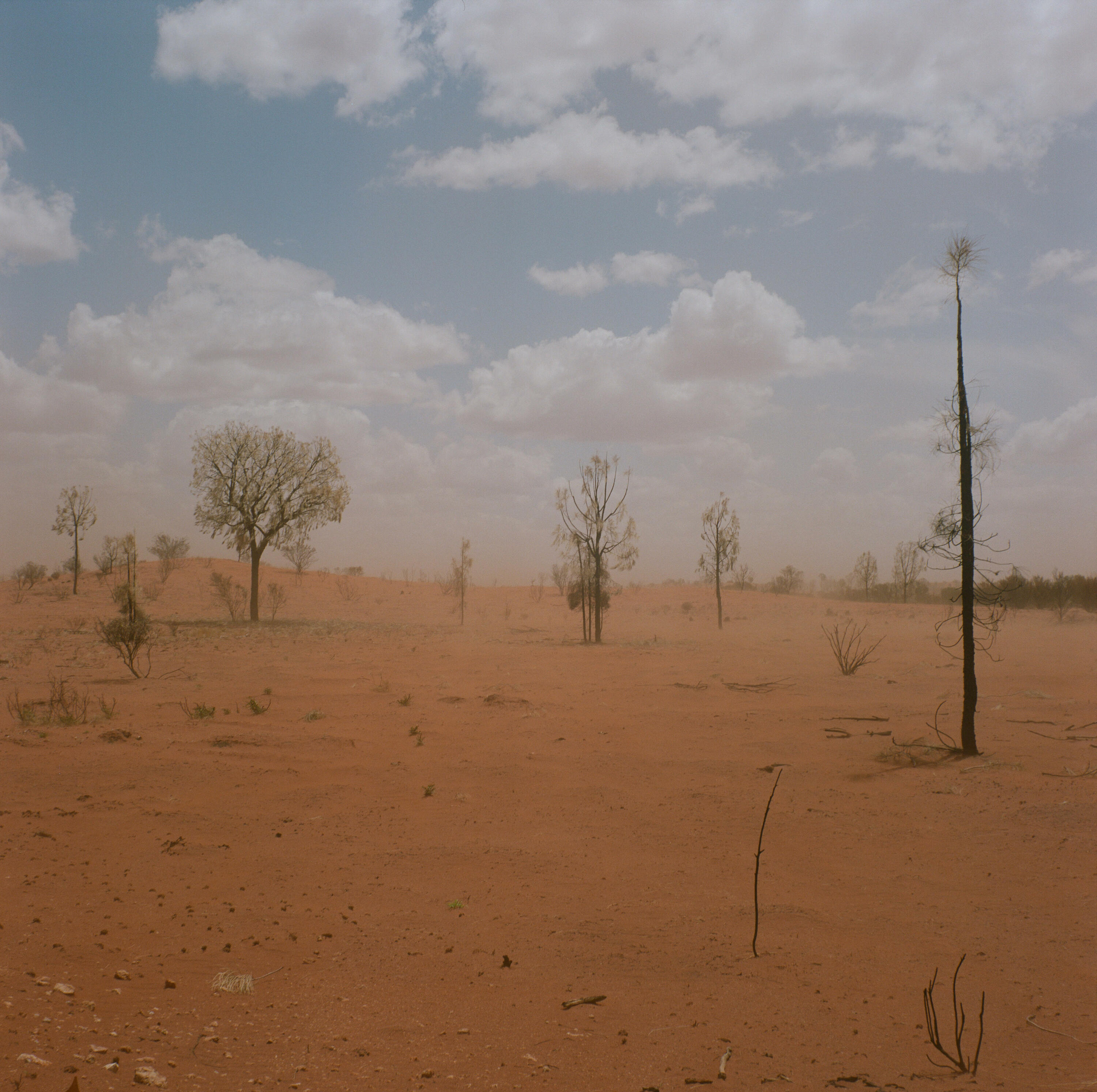 Out back | Art in Melbourne