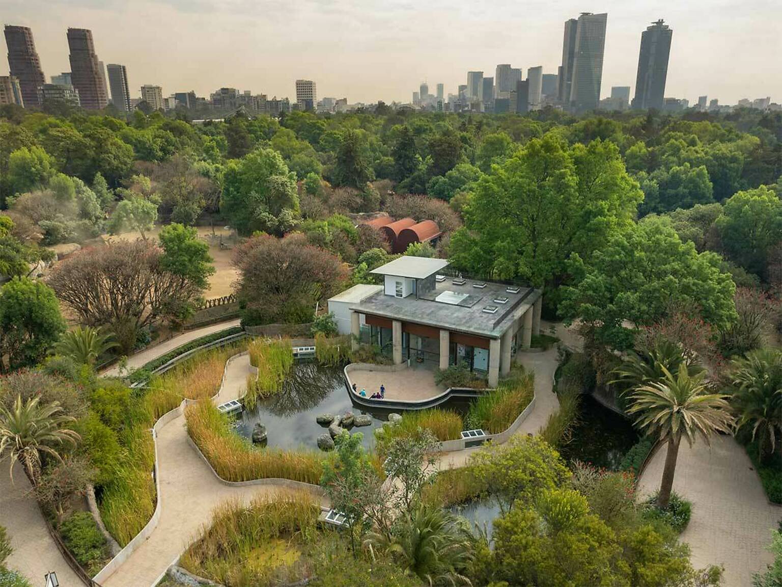 Lugares y actividades gratis en el Bosque de Chapultepec