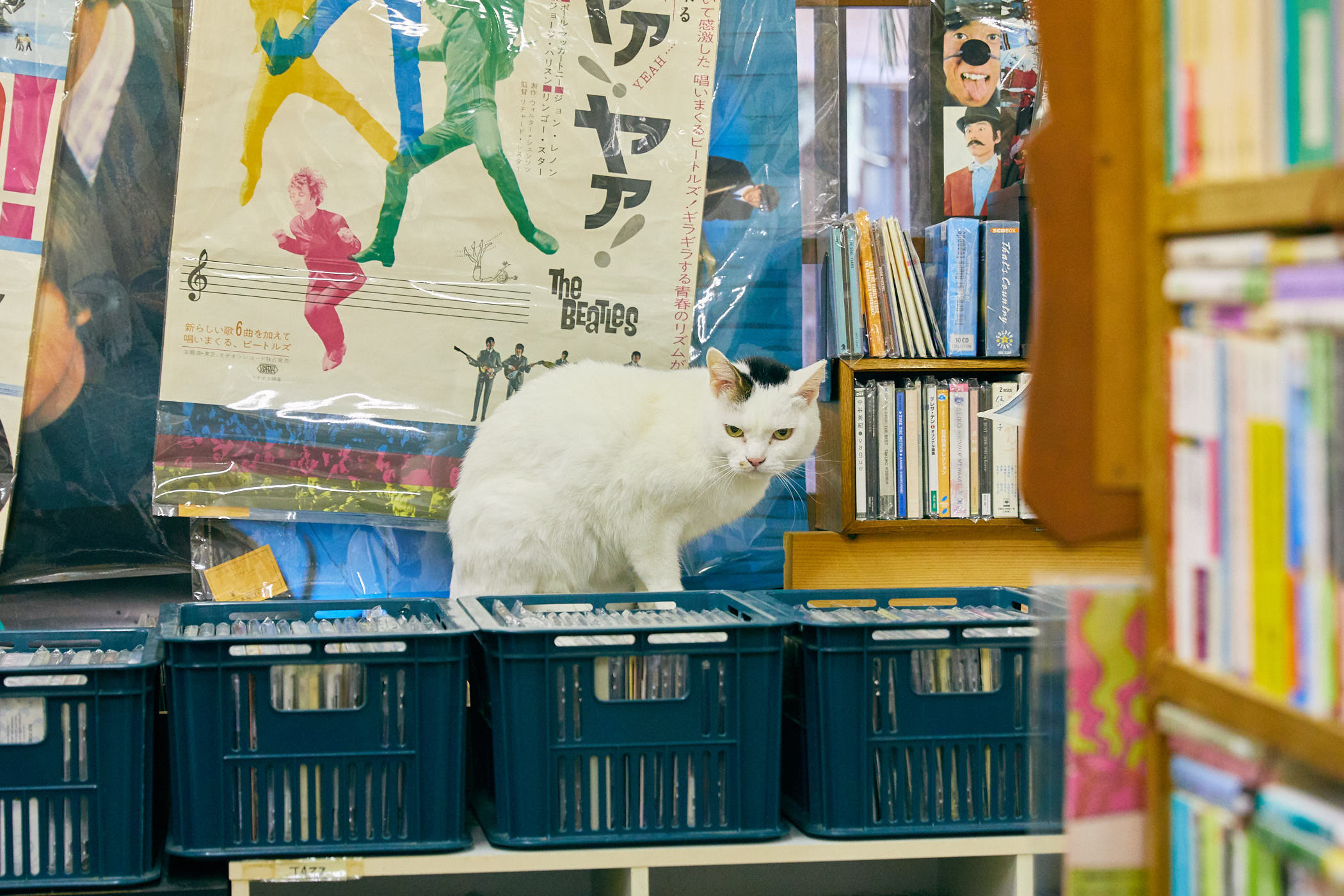 LINE公式アカウント「Desika™：伊勢でしか」第2弾がスタート