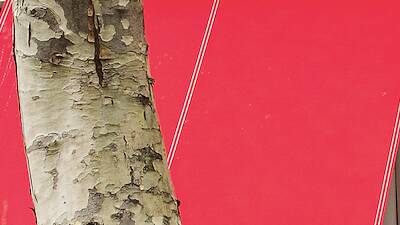 Review: Jacuzzi Italian restaurant in London