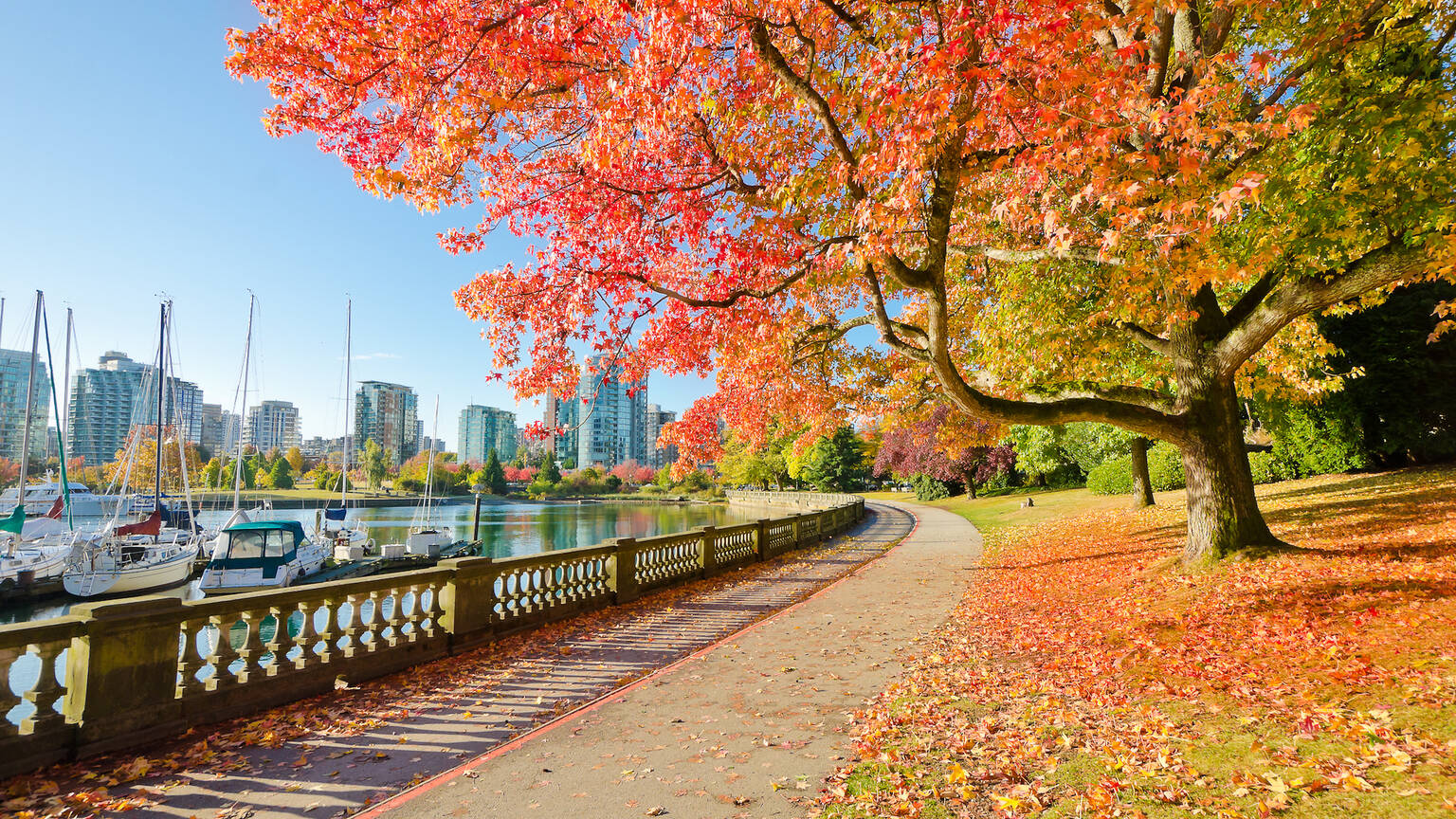 21 Best Things to Do in Vancouver