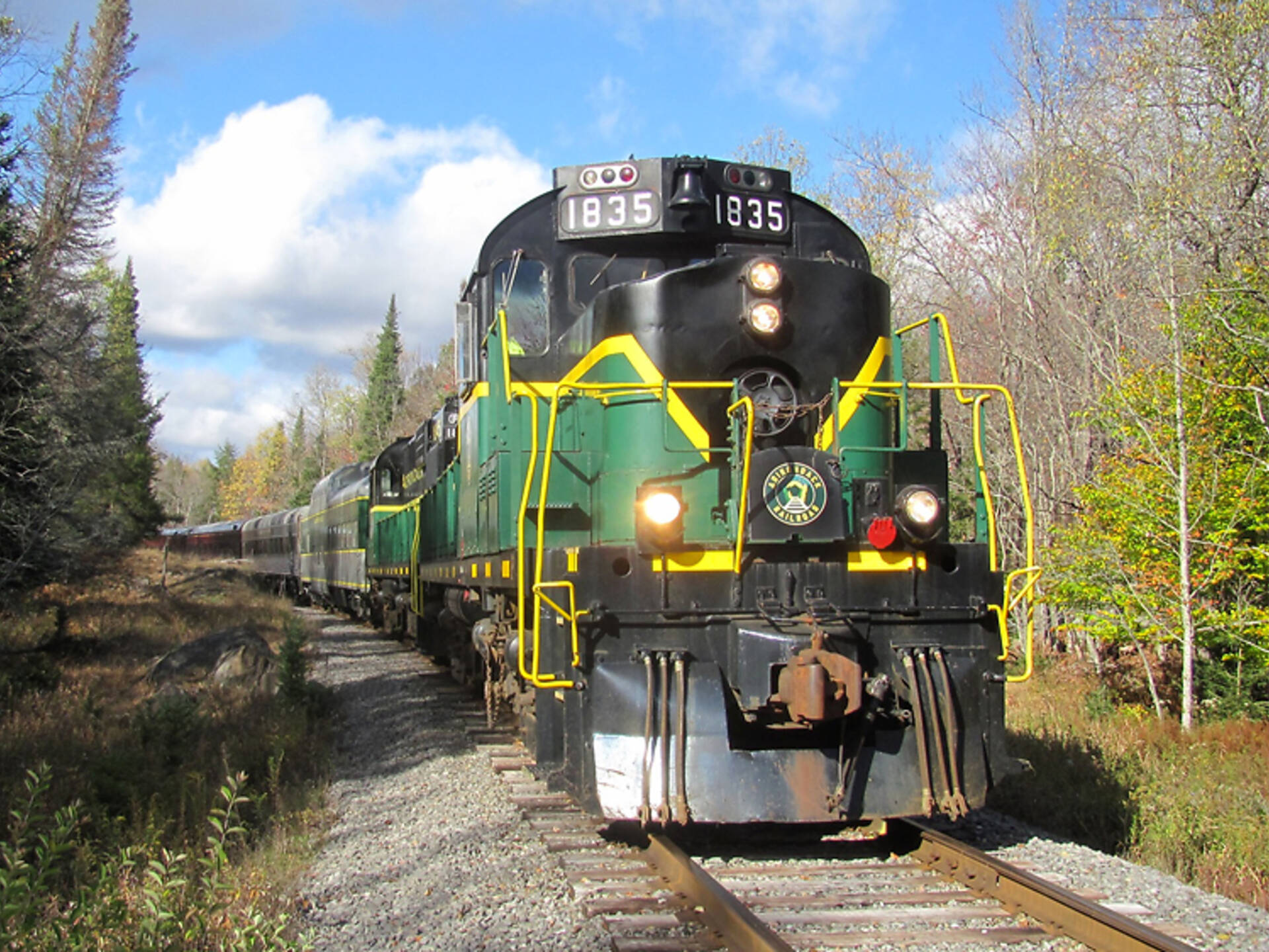 10 Best Winter Train Rides in USA to Enjoy the Snowy Views