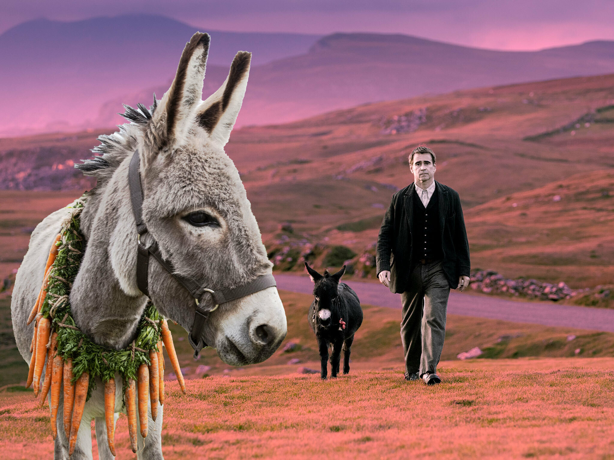 How ‘EO’ and ‘The Banshees of Inisherin’ made 2023 the year of the donkey