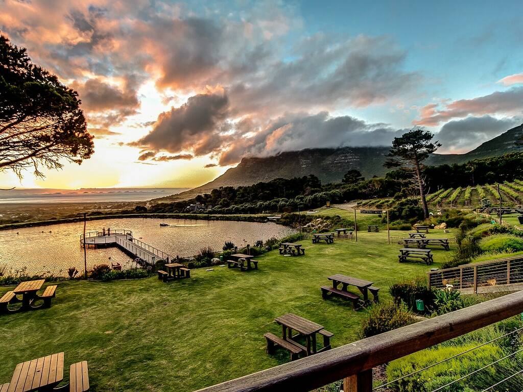 13 Best Wine Estates and Farms in and around Cape Town in 2023