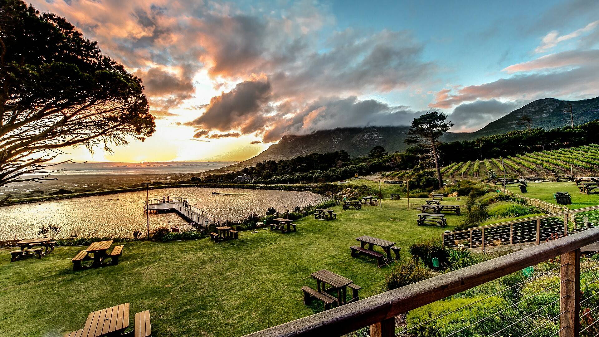 13 Best Wine Estates and Farms in and around Cape Town in 2023