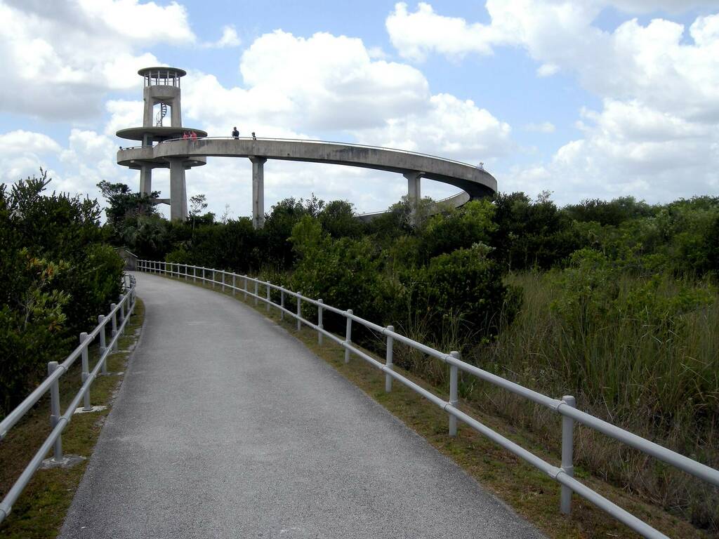 9 Best Trails for Hiking in Miami, from Bayside Paths to Gator-Lined ...