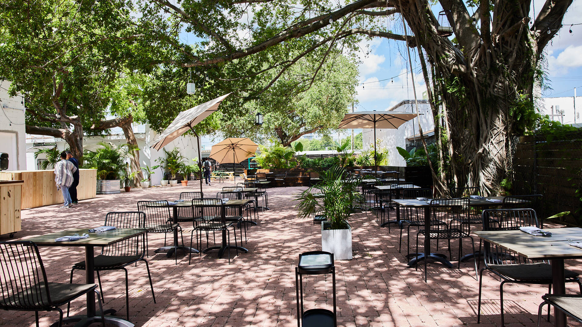 Rosie's | Restaurants in Little Haiti / Lemon City, Miami