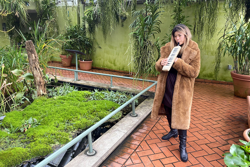 Biophony: SoundGarden | Museums in New York