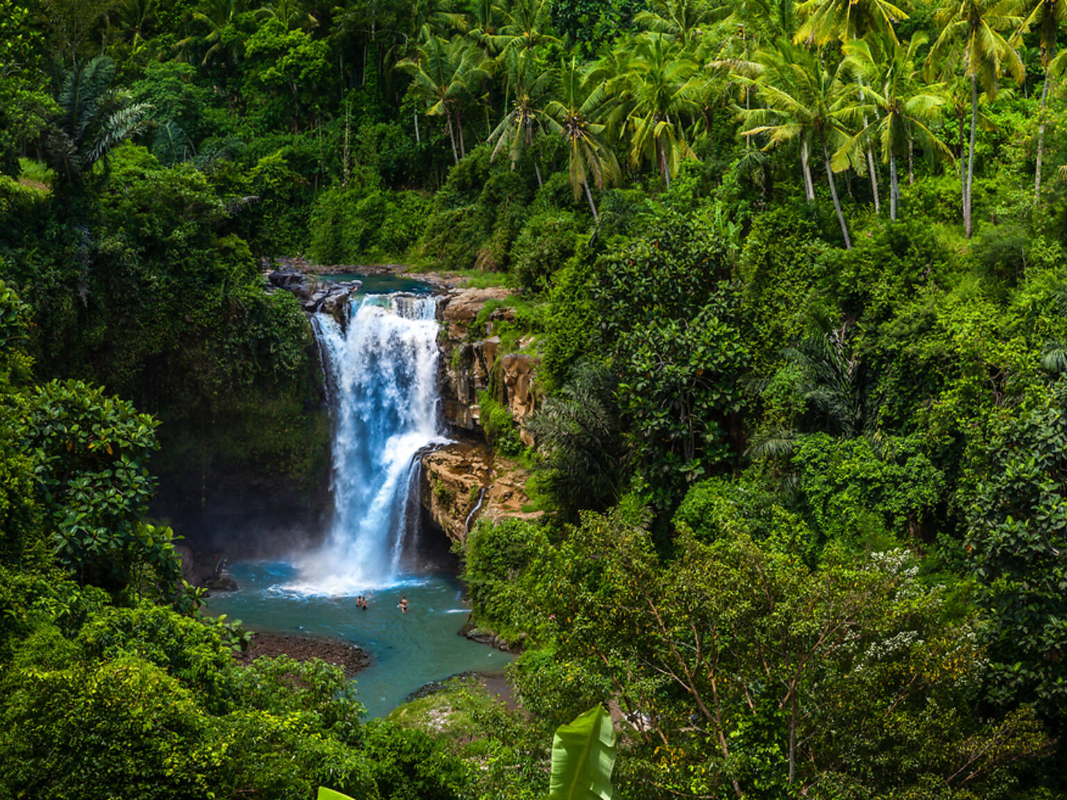 20 Best Things to Do in Bali Right Now | The Best Bali Experiences