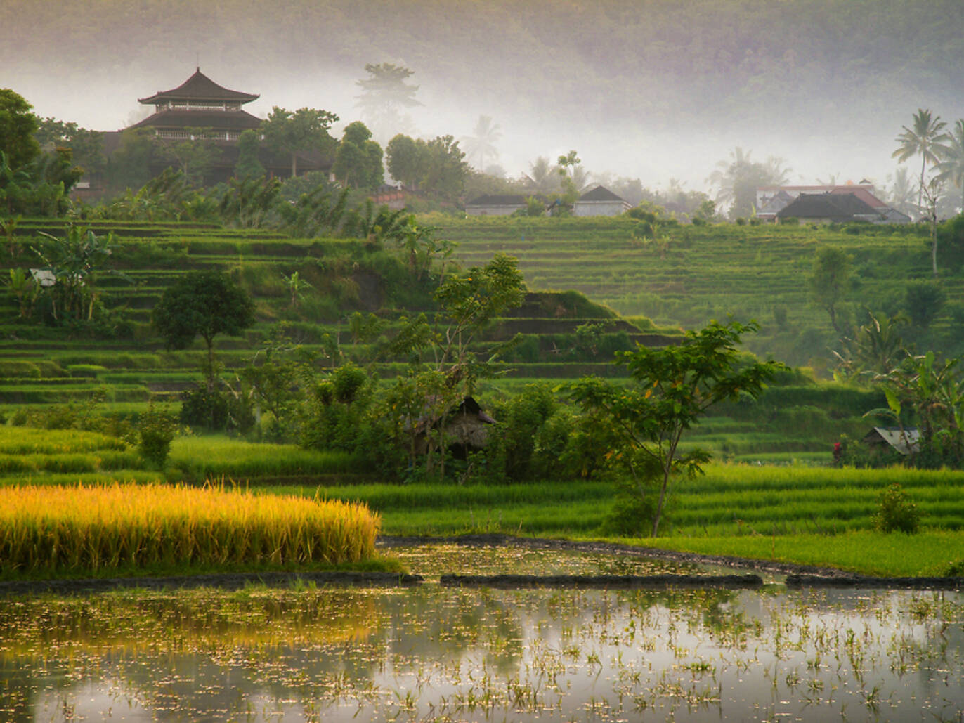 20 Best Things to Do in Bali Right Now | The Best Bali Experiences