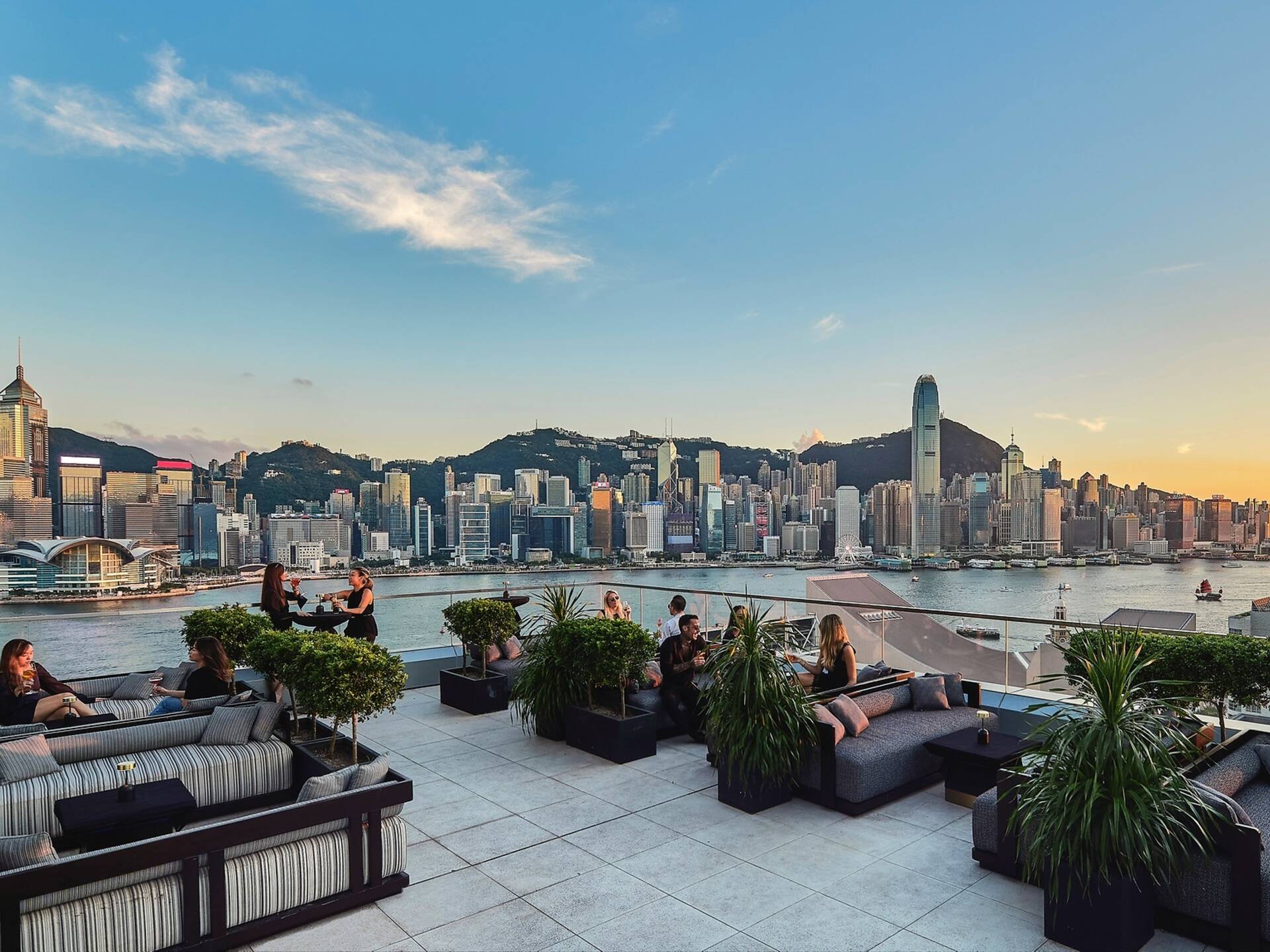 The Best Bars in Tsim Sha Tsui To Try Right Now – Time Out Hong Kong