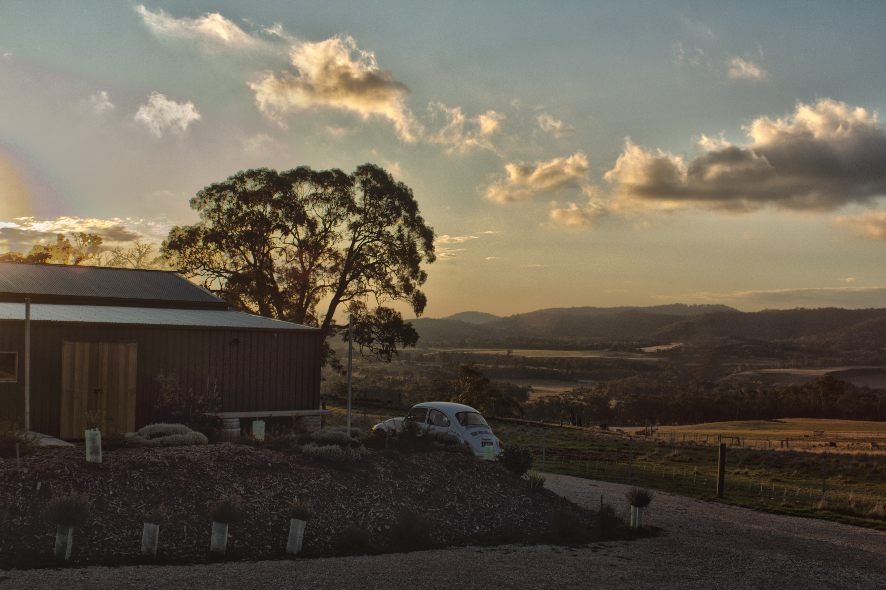 Big Tree Distillery in Macedon Ranges, Victoria | Victorian gin