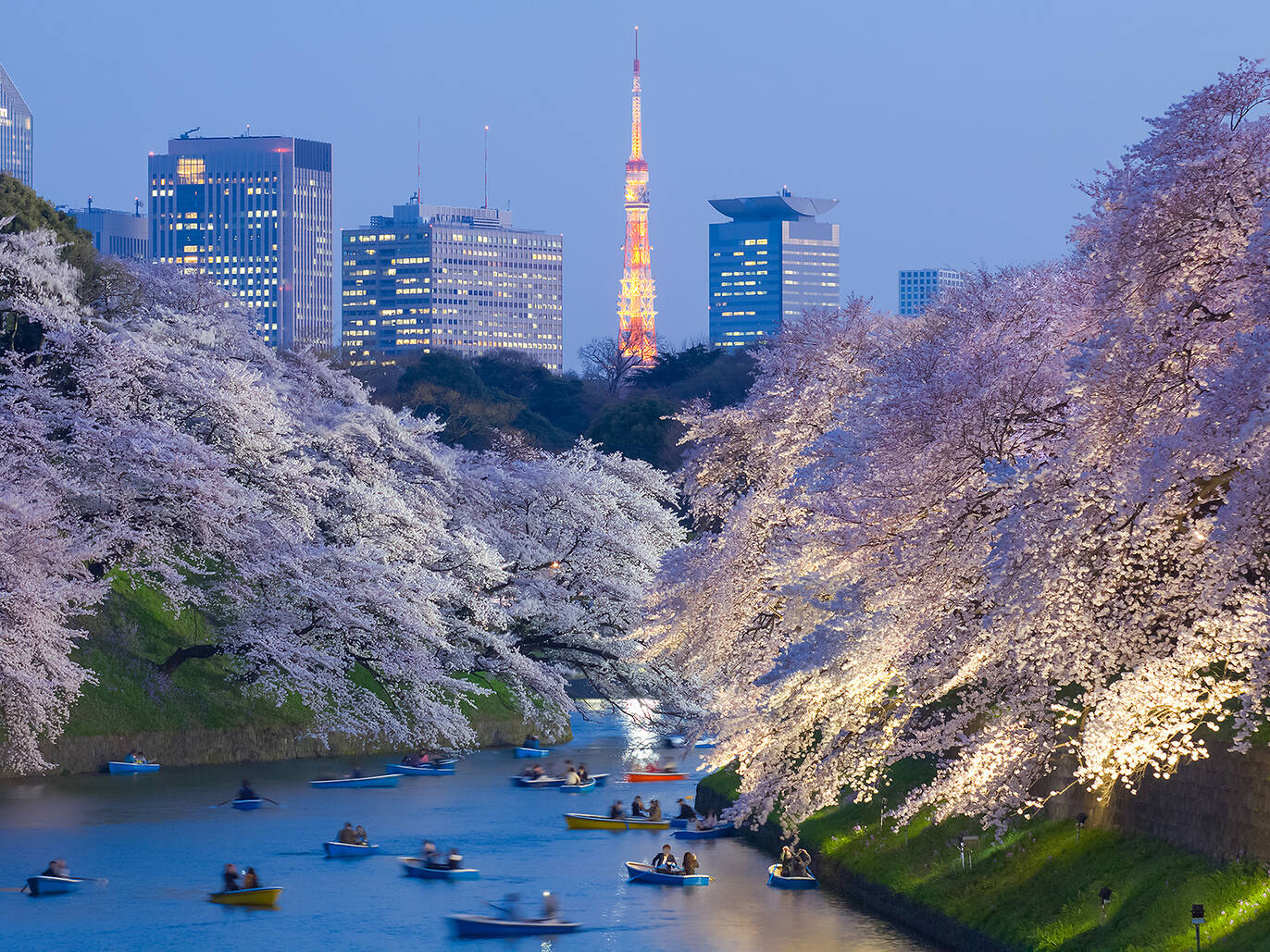 Things to do in Tokyo today | Time Out Tokyo