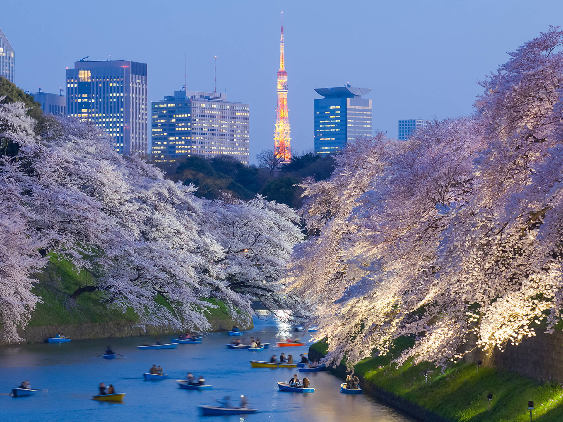 Time Out Tokyo | The best things to do in Tokyo
