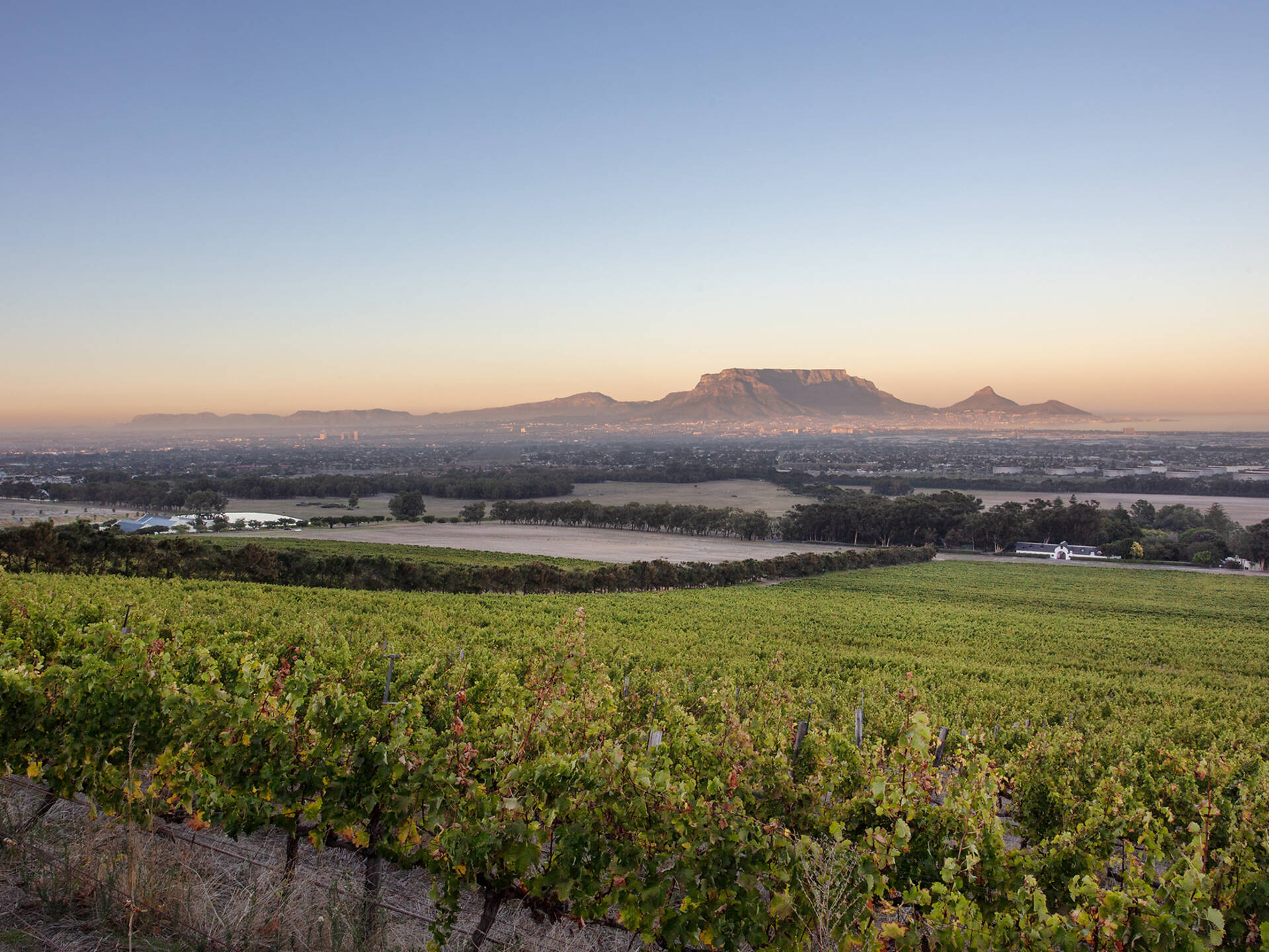 13 Best Wine Estates and Farms in and around Cape Town in 2023