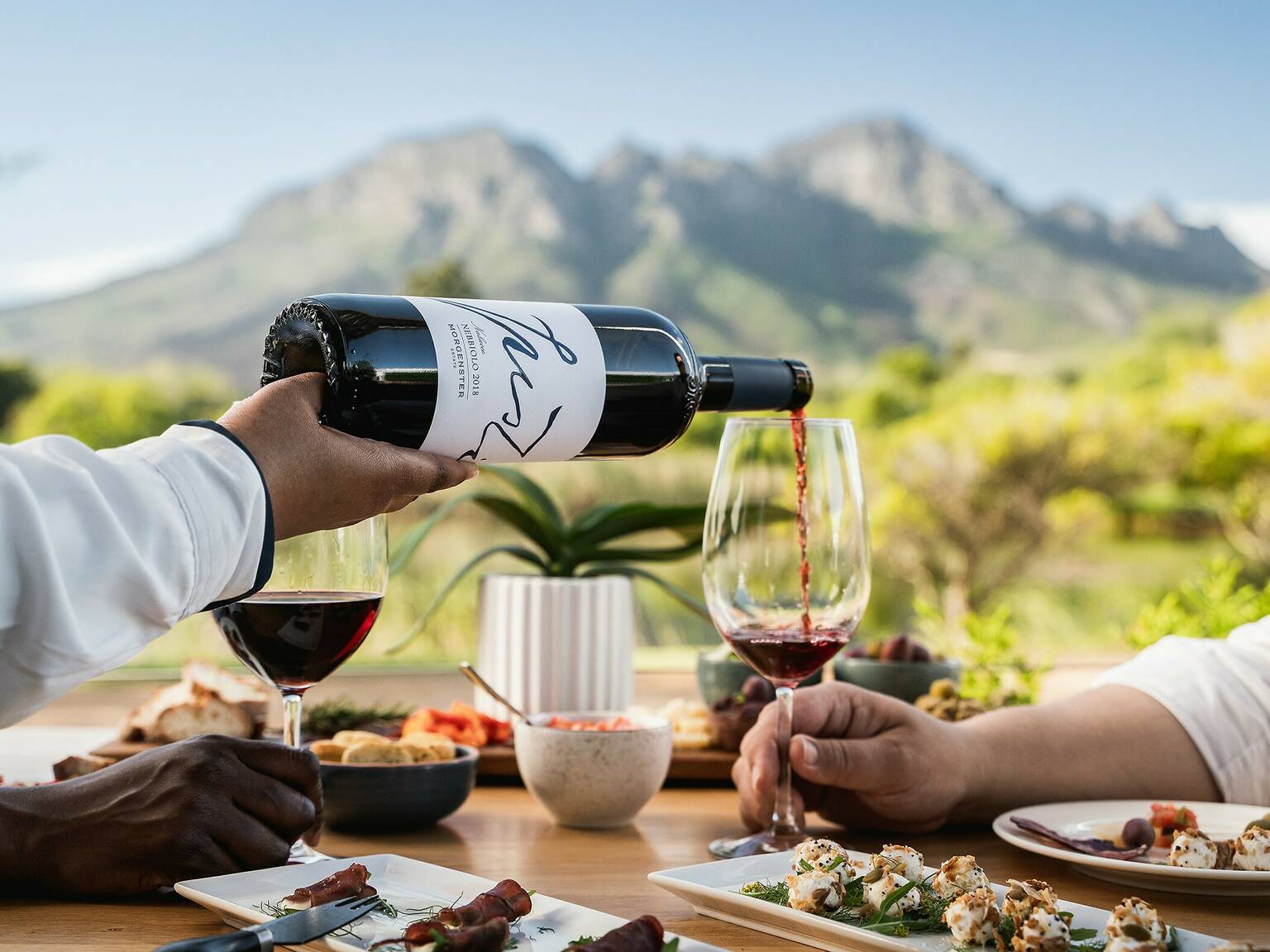 13 Best Wine Estates and Farms in and around Cape Town in 2023