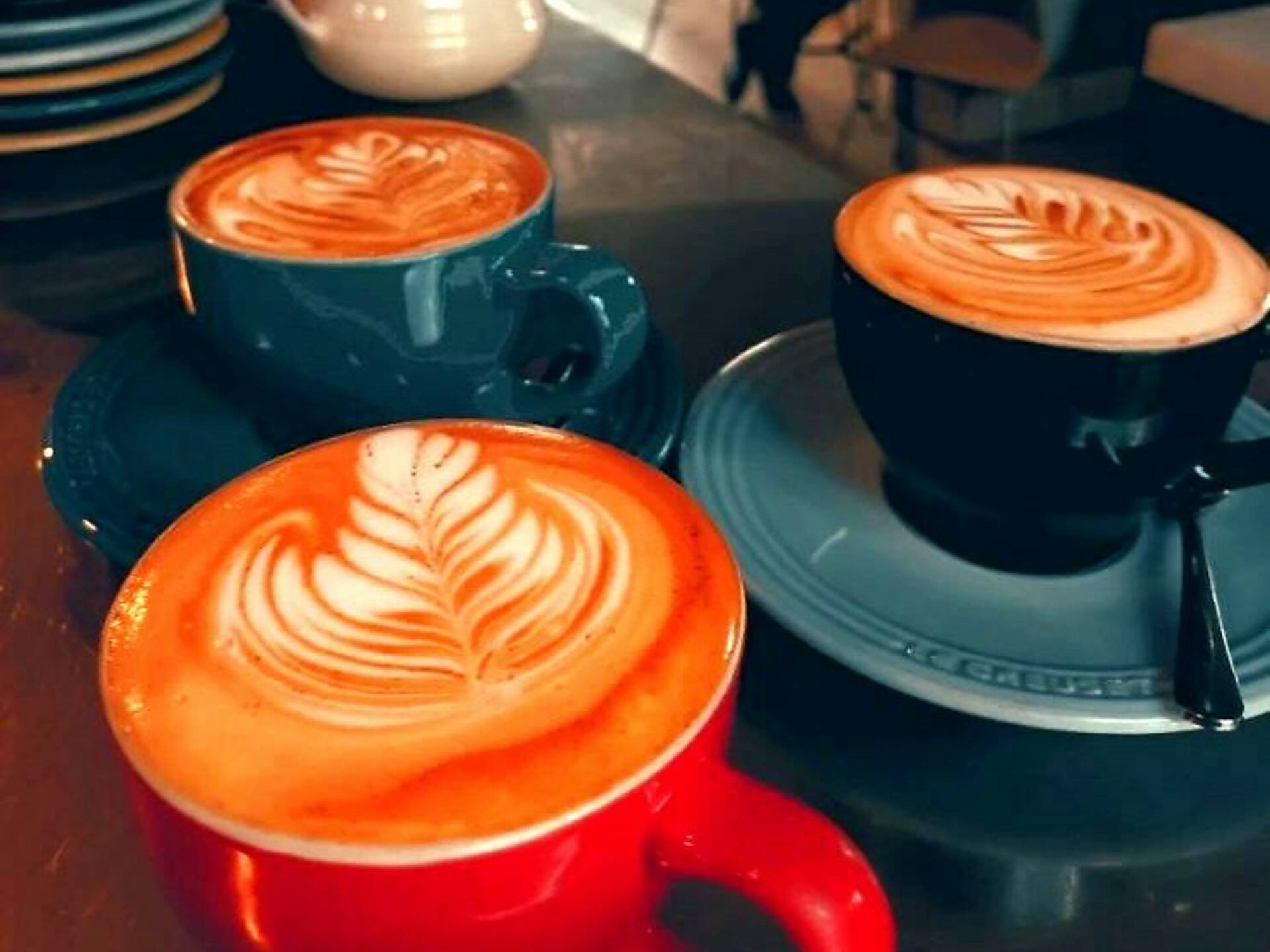 17 Best Cafés and Coffee Shops in Cape Town