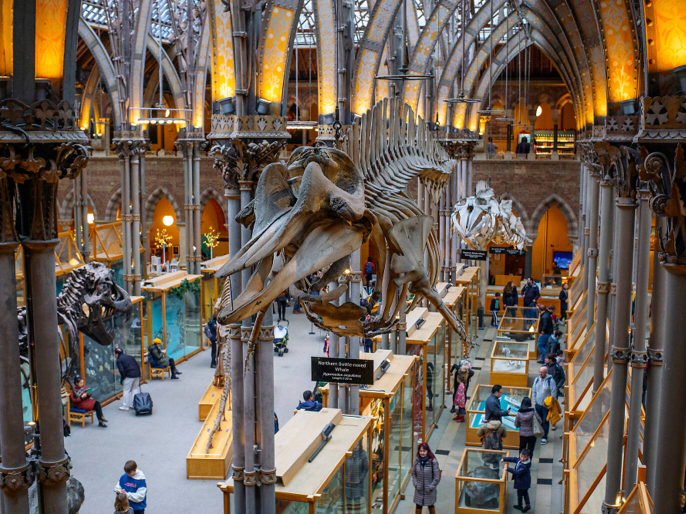 10 Best Museums in Oxford for a Cultural Day Out