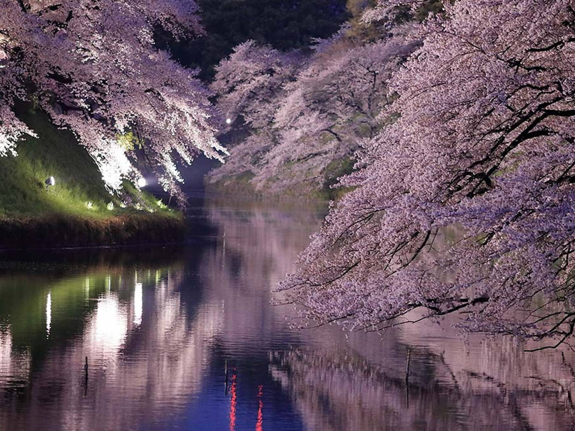 March events in Tokyo | Time Out Tokyo