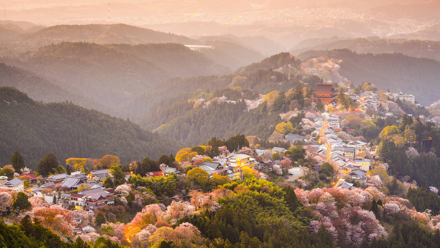 16 best places to see cherry blossoms in Japan – with 2026 dates