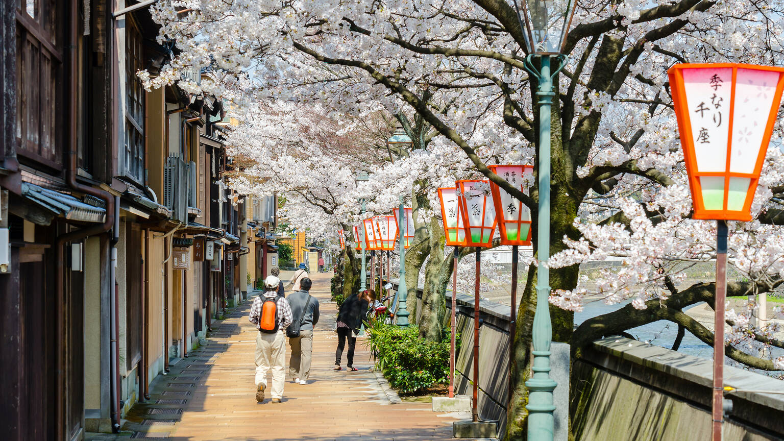 16 best places to see cherry blossoms in Japan – with 2026 dates