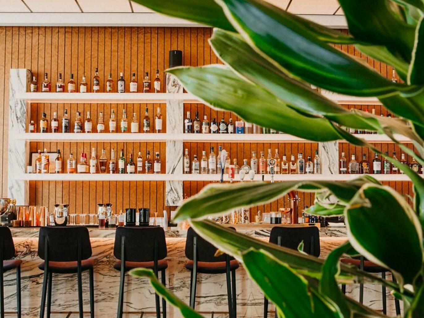 17 Best Rooftop Restaurants in Montreal For Food With Views