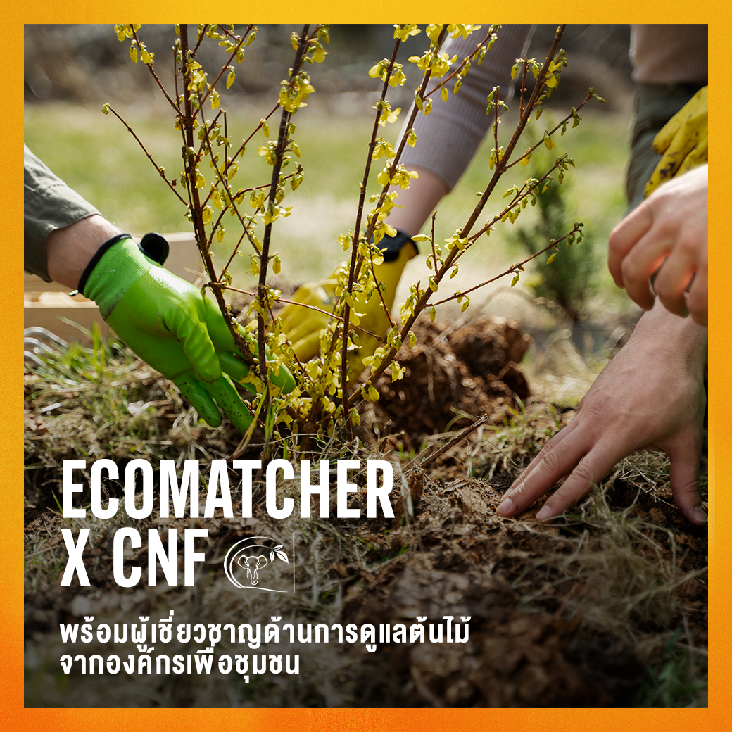 รู้จัก Keep Walking Forest ป่าที่เกิดจากการลดกล่อง และจะยั่งยืนจากการดูแลของชุมชน