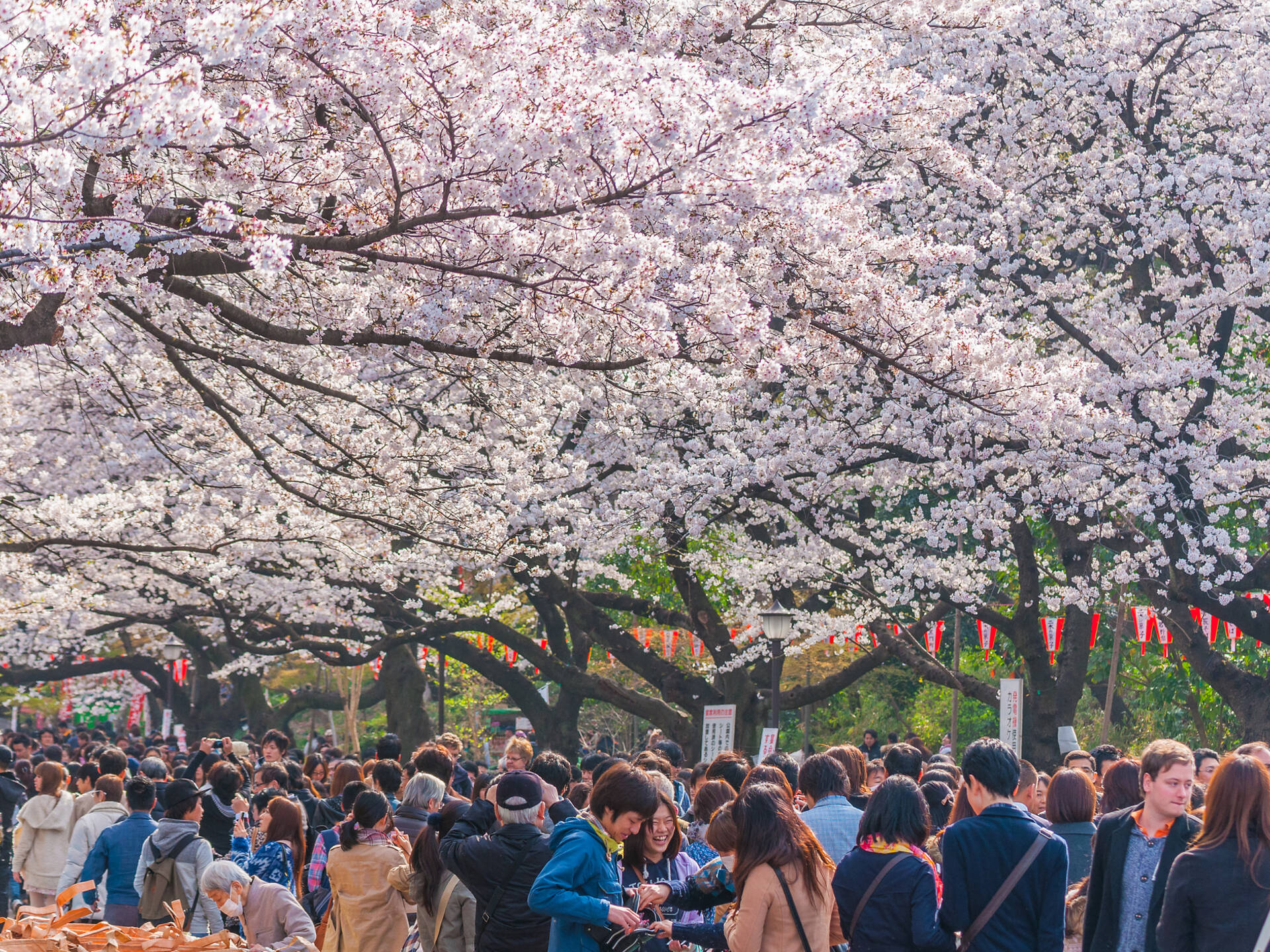 Things to do in Tokyo today | Time Out Tokyo