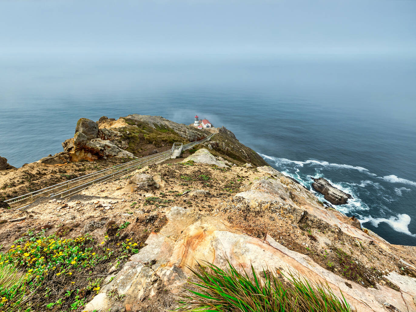 11 Wildflower Hikes in the Bay Area to Experience in 2024