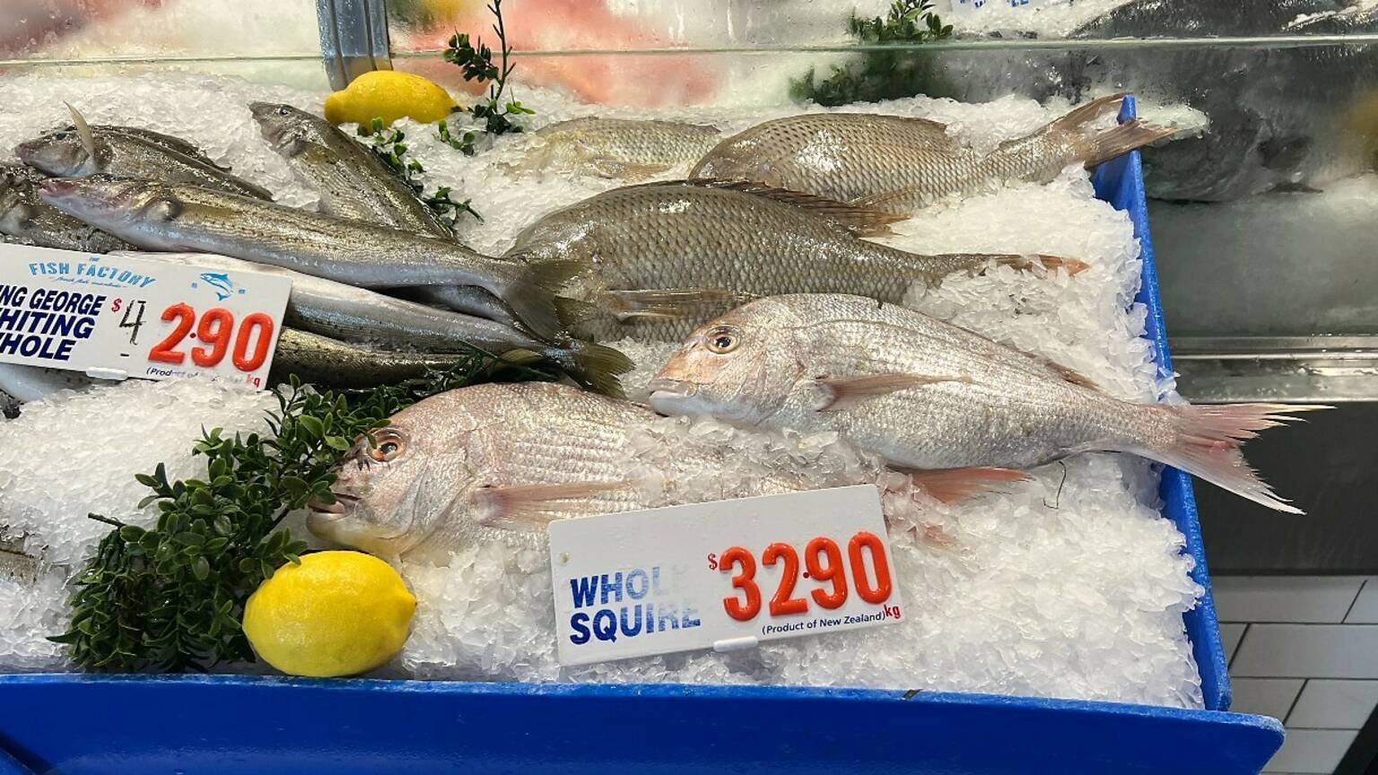 The Fish Factory | Restaurants in Morningside - Seven Hills, Brisbane