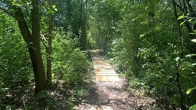 The Best Trails and Paths For a Walk in Chicago