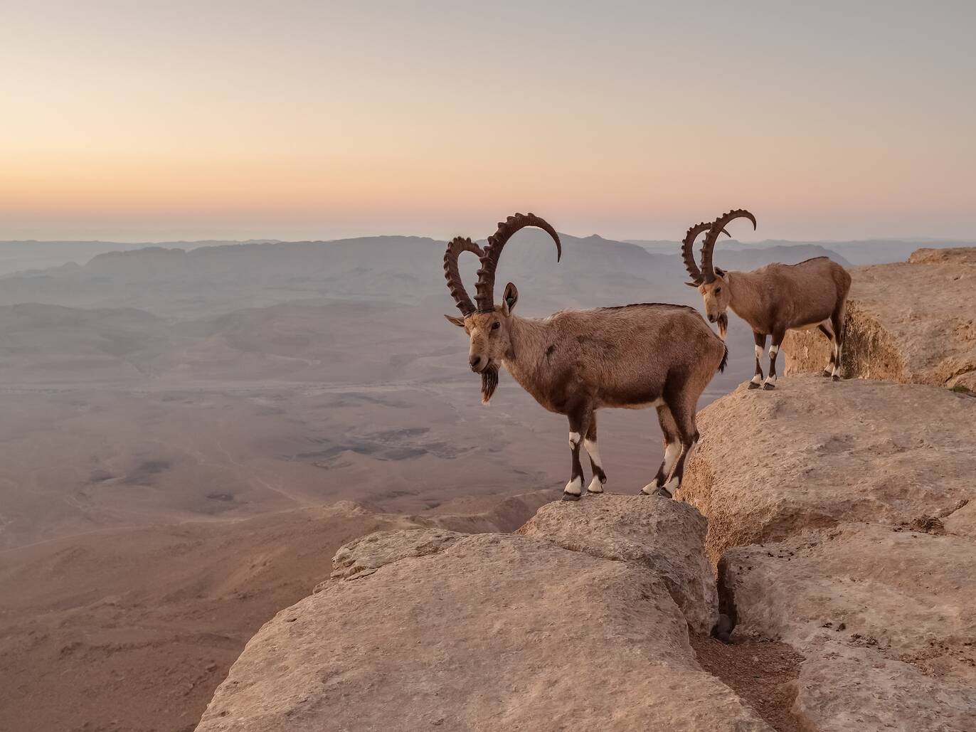 Area guides - the best places and cities to visit in Israel