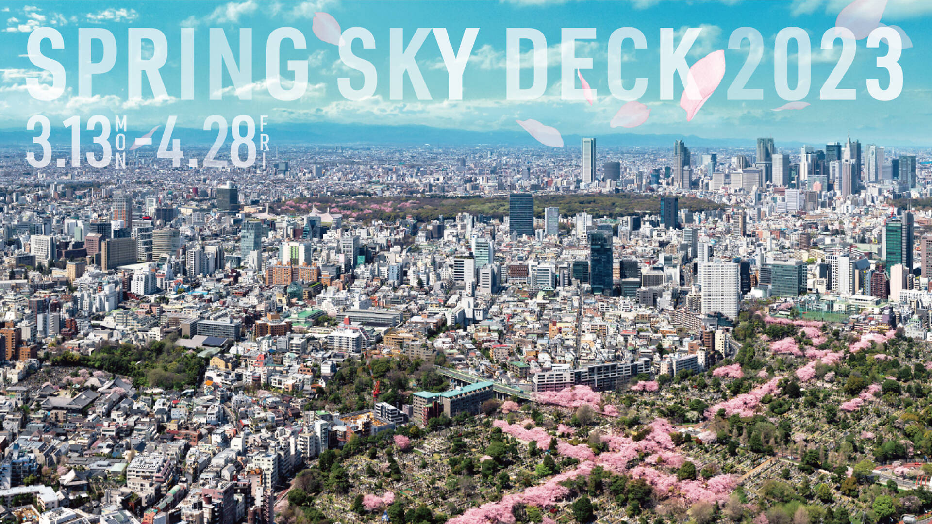 Spring Sky Deck | Things to do in Tokyo
