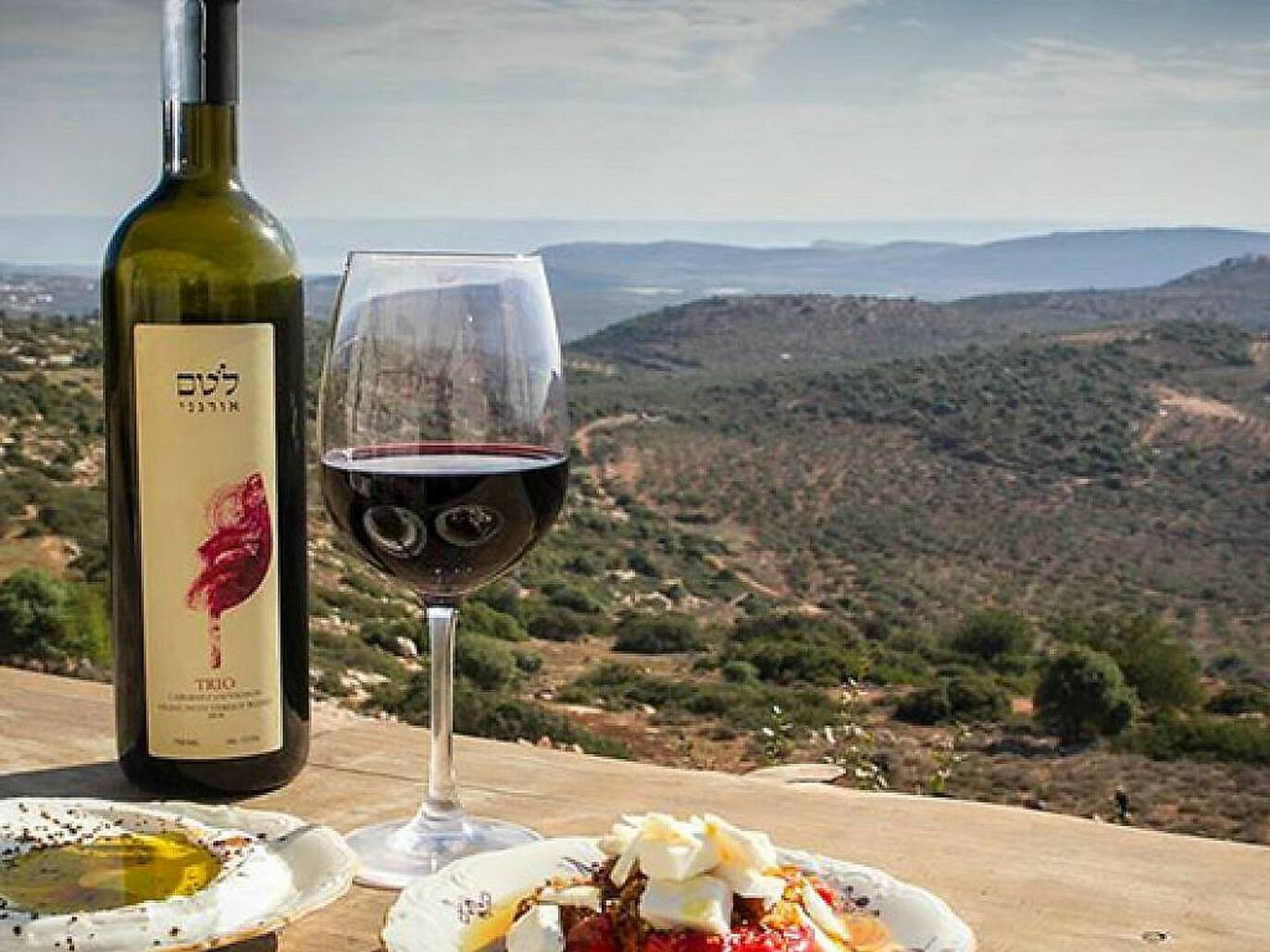 The best Israeli wine and wineries from the north to the south