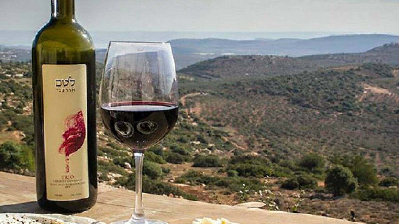 The best Israeli wine and wineries from the north to the south