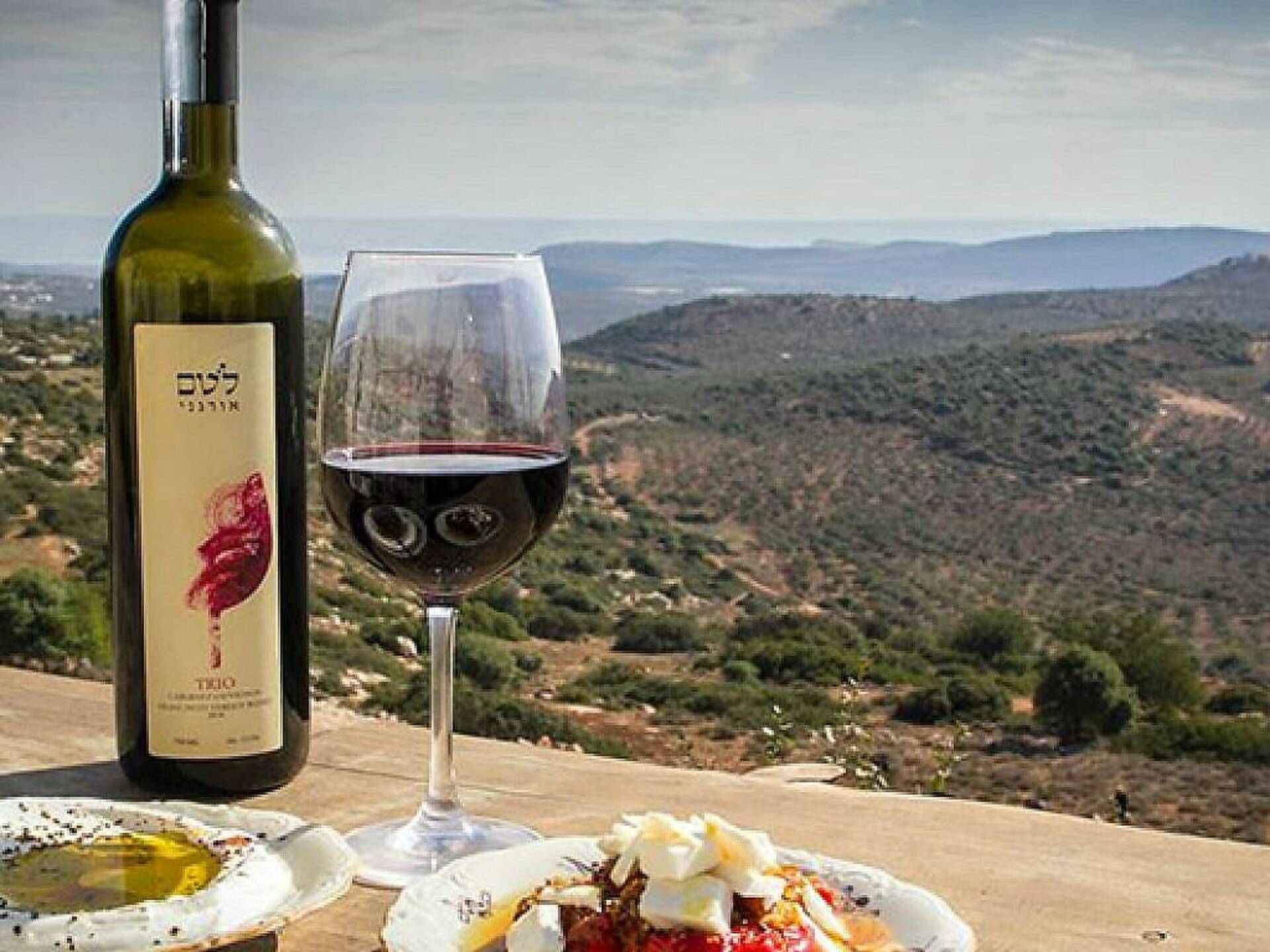 The best Israeli wine and wineries from the north to the south